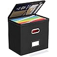 Amazon.com: Oterri 1 Pack File Organizer Boxes with Lids, File Box with ...