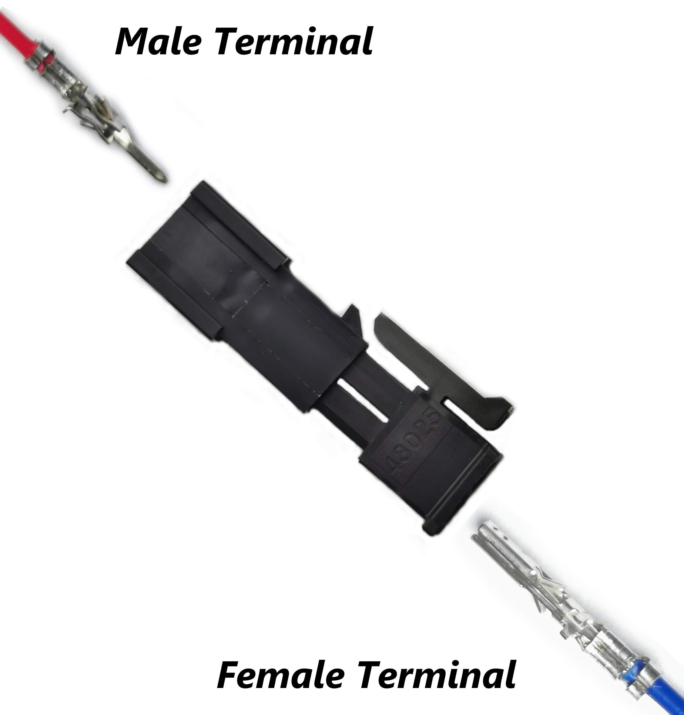 Mua Micro-Fit 3.0 dual row (2 Circuits) Male & Female receptacle plug ...