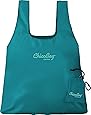 Amazon.com: ChicoBag Original Compact Reusable Grocery Bag with ...