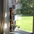 Amazon.com: Daniel's Plants 3 Tiered Window Sill Plant Shelf (Real Wood ...
