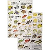 Amazon.com : National Geographic - Guide to Inshore fish of the Pacific ...
