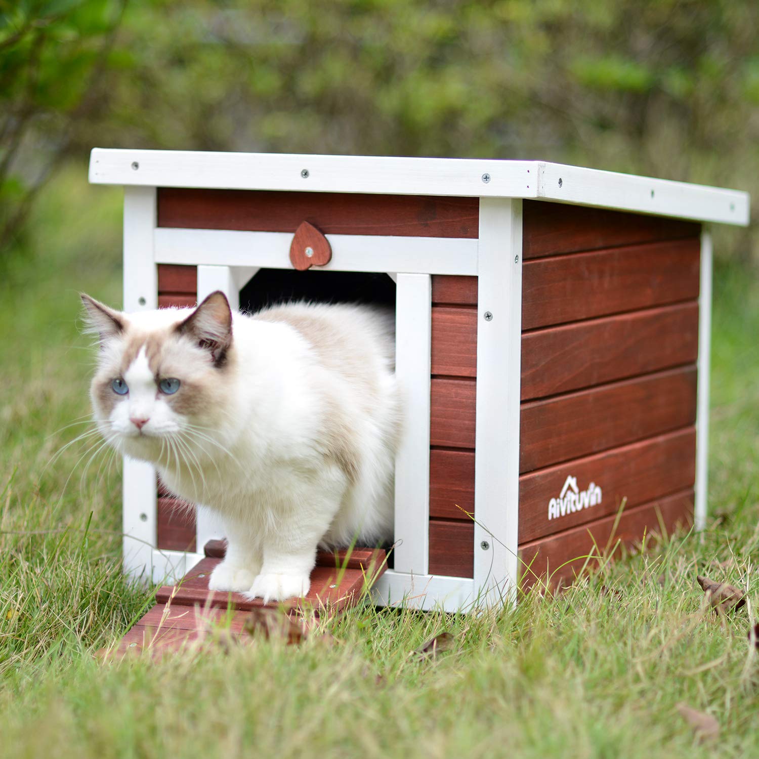 Aivituvin Wooden Dog And Cat House Outdoor And Indoor,Feral Pet Houses ...