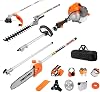 PROYAMA Powerful 42.7cc 5 in 1 Multi Functional Trimming Tools, Gas ...