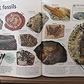 The Rock and Gem Book: And Other Treasures of the Natural World: DK ...