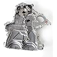 Amazon.com: COPACHI Timing Chain Oil Pump Cover OE 21350-2B701 ...