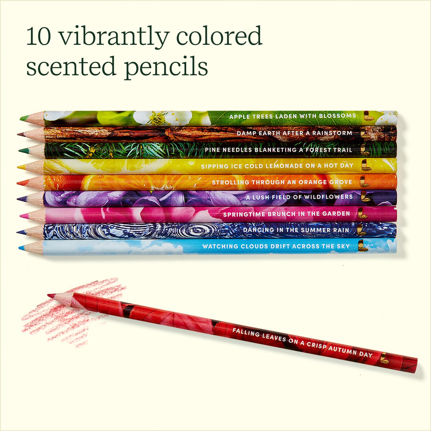 Mua Rub & Sniff Scented Colored Pencils - Infused with Essential Oil ...