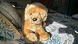 Amazon.com: Douglas Honey Golden Retriever Dog Plush Stuffed Animal ...