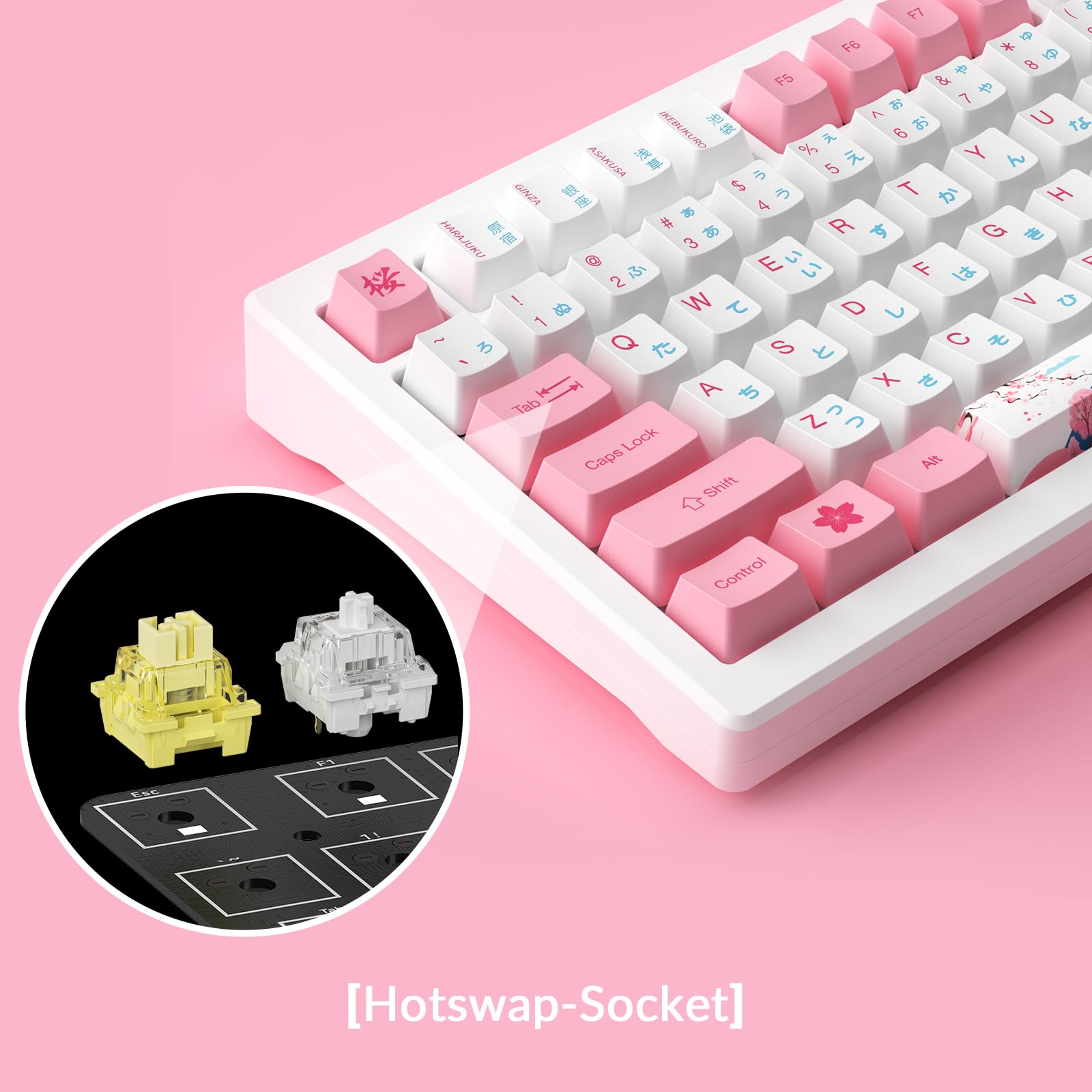 Mua Akko Magnetic Switches Rapid Trigger Gaming Keyboard, MOD007B HE PC ...