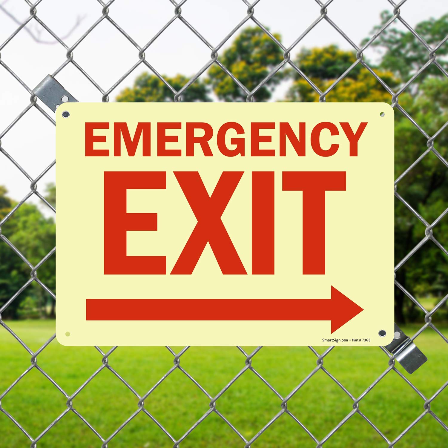 Mua SmartSign - S-1492G-GR-14 Emergency Exit Sign with Right Arrow by ...