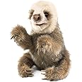 Amazon.com: Folkmanis Baby Sloth Hand Puppet : Toys & Games