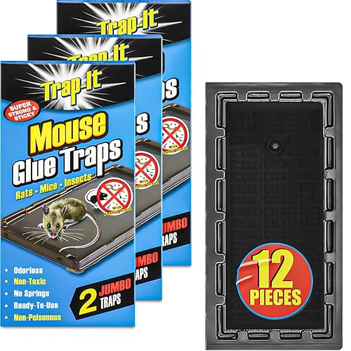 SteadMax 12 Large Glue Traps with Enhanced Stickiness, Professional ...