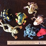 Amazon.com: Frog Toys,4.5 Inch Assorted Rubber Frog sets(6 PACK),Food ...
