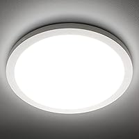 LED Flush Mount Ceiling Light Fixture, 5000K Daylight White, 2400LM, 12 ...