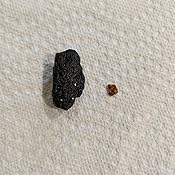 Amazon.com: NATIONAL GEOGRAPHIC Meteorite Dig Kit – A Space Science ...