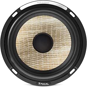 Amazon.com: Focal PS 165 FE Expert Flax Evo 2-Way Component Speakers : Electronics