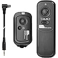 Amazon.com : Pixel Digital Wireless Remote Shutter Release Switch N3 Compatible with Canon 5D ...