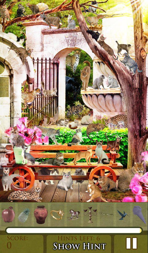 Where Are My Cats Hidden Object:Amazon.com:Appstore for Android