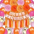 Amazon.com: Pink and Orange Happy Birthday Party Decorations, Pink ...