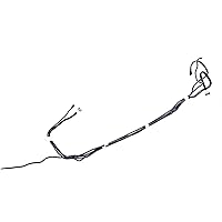 Amazon.com: GM Genuine Parts 25860205 Vapor Canister Purge Hose ...