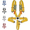 Amazon.com: 5 Point Racing Harness SFI Certified with Ultra Heavy Duty ...
