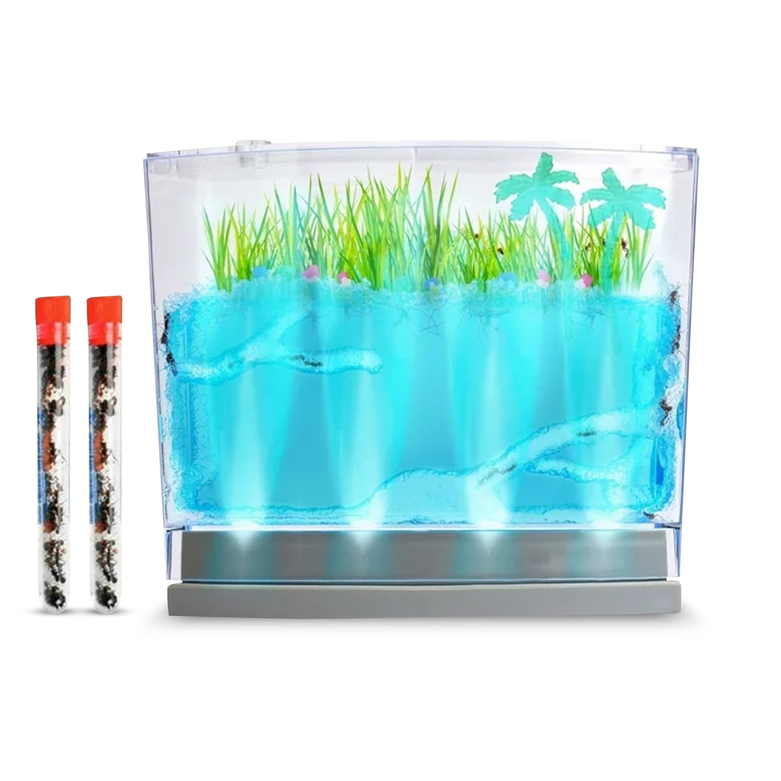 Mua LED Gel Ecosystem Ant Habitat with 50 Live Ants - Eco-Terrarium Set ...