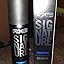 Buy AXE Signature Mysterious Body Perfume, 122ml Online at Low Prices ...