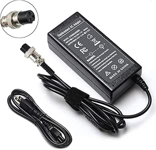 Amazon.com : 24V 2A Female Electric Scooter Battery Charger Compatible ...