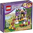 Amazon.com: LEGO Friends Andrea's Mountain Hut 41031 Building Set : Toys & Games
