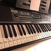 RockJam RJ361 - Teclado Electrónico Portátil de 61 Teclas con Pegatinas ...