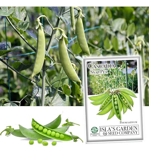 Cascadia Sugar Snap Pea Seeds, 50+ Heirloom Seeds Per Packet, (Isla's ...