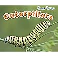 Amazon.com: Caterpillars (Creepy Critters): 9781410948175: Rissman ...