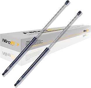 Amazon.com: 2 (Pc) RV Truck Toolbox Camper Boat Gas Spring lift Support ...