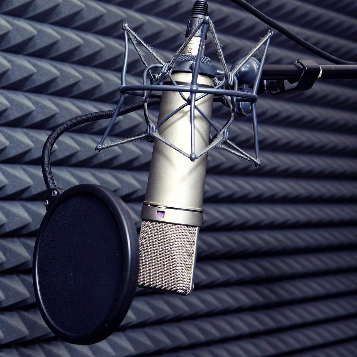 MEW Pop Filter with Enhanced Flexible 360° Goose neck Clip ...