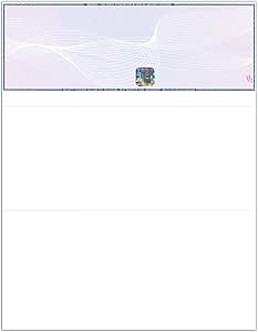 Amazon.com : EZ Checks Premium Blank Hologram High Security Laser Check ...