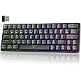 Amazon.com: TMKB T63 Gaming Keyboard, 60% Wireless Mechanical Keyboard ...