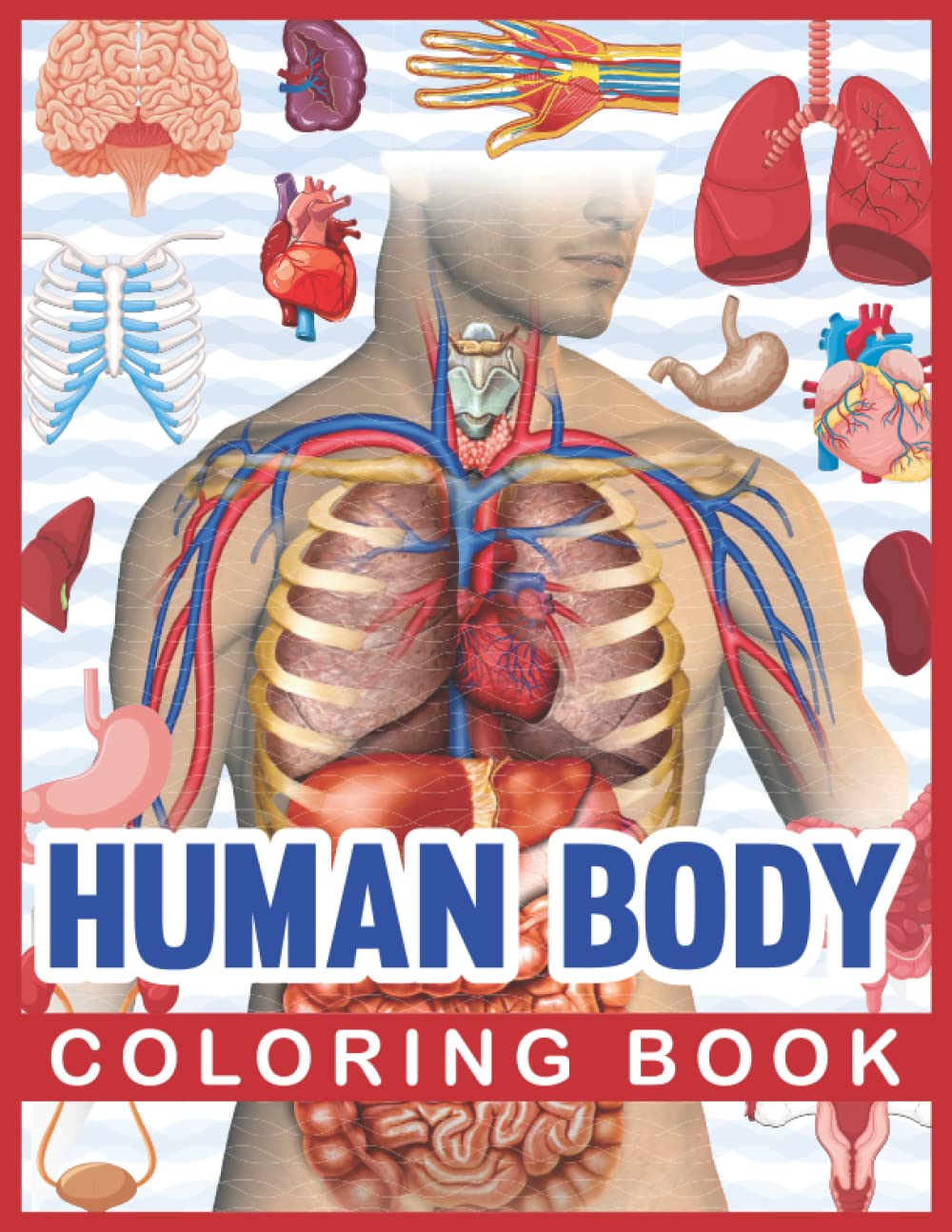 Mua Human Body Coloring Book: Human Body Human Anatomy Coloring Book ...
