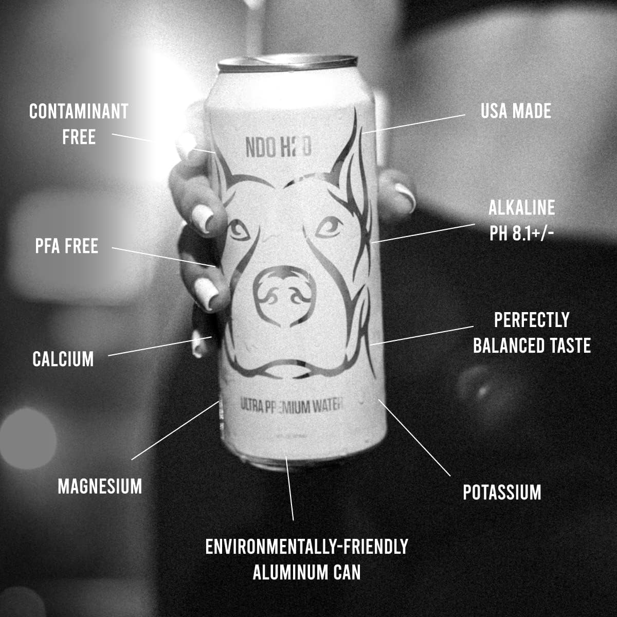 Mua No Days Off Premium Still Water (NDO H2O), 12 Pack - 16 fl oz/can ...