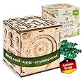 Amazon.com: INSCAPE Maya´s Myths - Puzzle Box - Escape Room in A Box ...