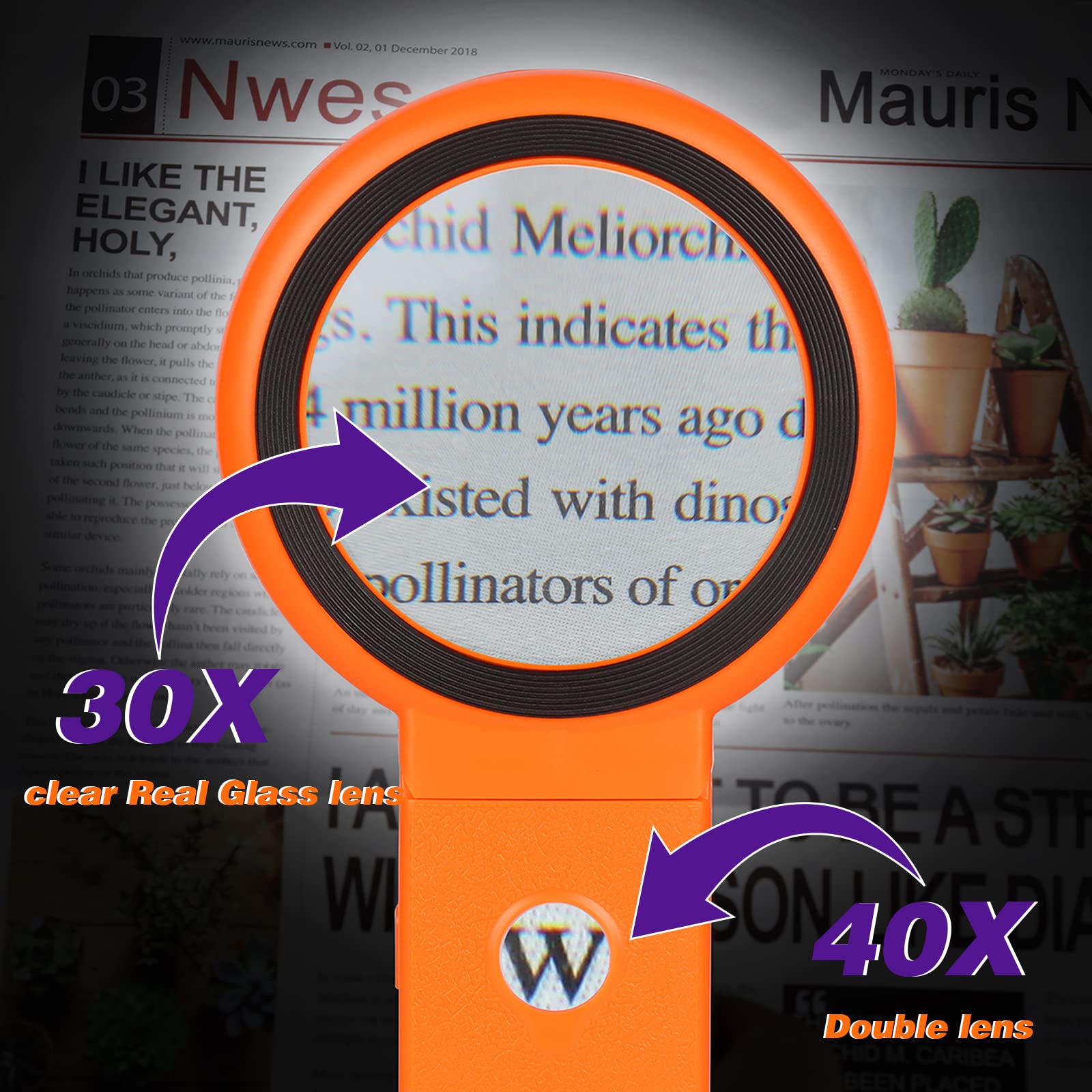 Mua 30X 40X Magnifying Glass with Light and Stand, Foldable Handheld ...