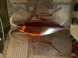 Bugs: A Stunning Pop-up Look at Insects, Spiders, and Other Creepy ...