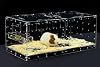 GuineaLoft™ Acrylic Cage (Model-P) - Small 2x1 ft Enclosed Cage w/Lid ...