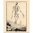 Amazon.com: Praying Skeleton - 11x14 Unframed Art Print - Makes a Great ...