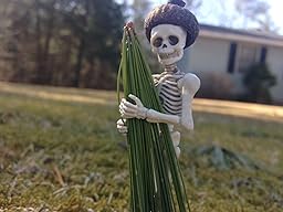 Amazon.com: Pose skeleton man (1) by Re-Ment: Toys & Games