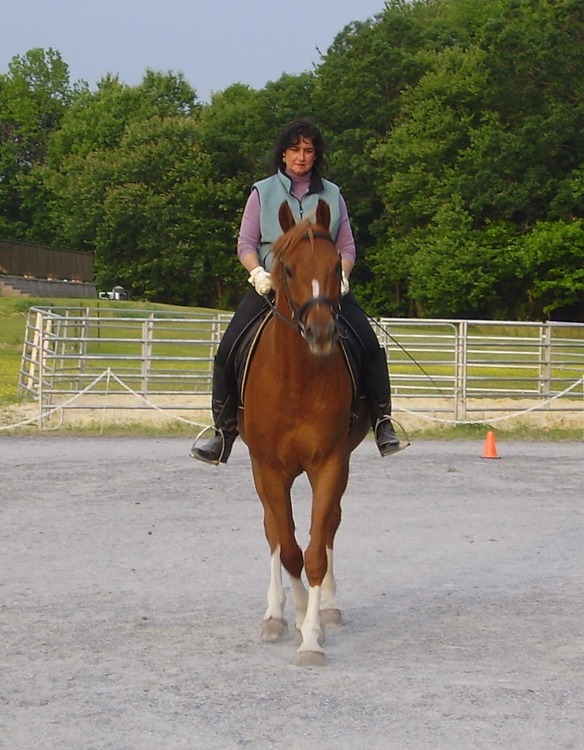 Linda Carroll – Audio Books, Best Sellers, Author Bio | Audible.com