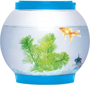 Pecera redonda de cristal, 5 litros, con iluminación LED, brillante ...