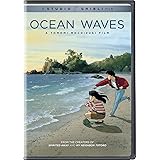 Amazon.com: Nature DVD - Ocean Waves with Natural Sea Sounds : The ...