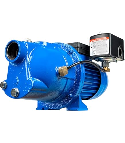 Everbilt J200a3 Heavy Duty Dual Pump Automatic 34 Hp