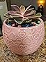 Amazon.com : Flower Pot 6 inch Planters for Indoor Plants Pink Orchid ...
