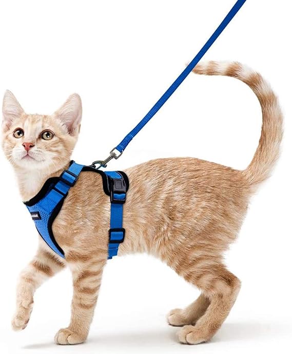 rabbitgoo Cat Harness and Leash for Walking, Escape Proof Soft ...