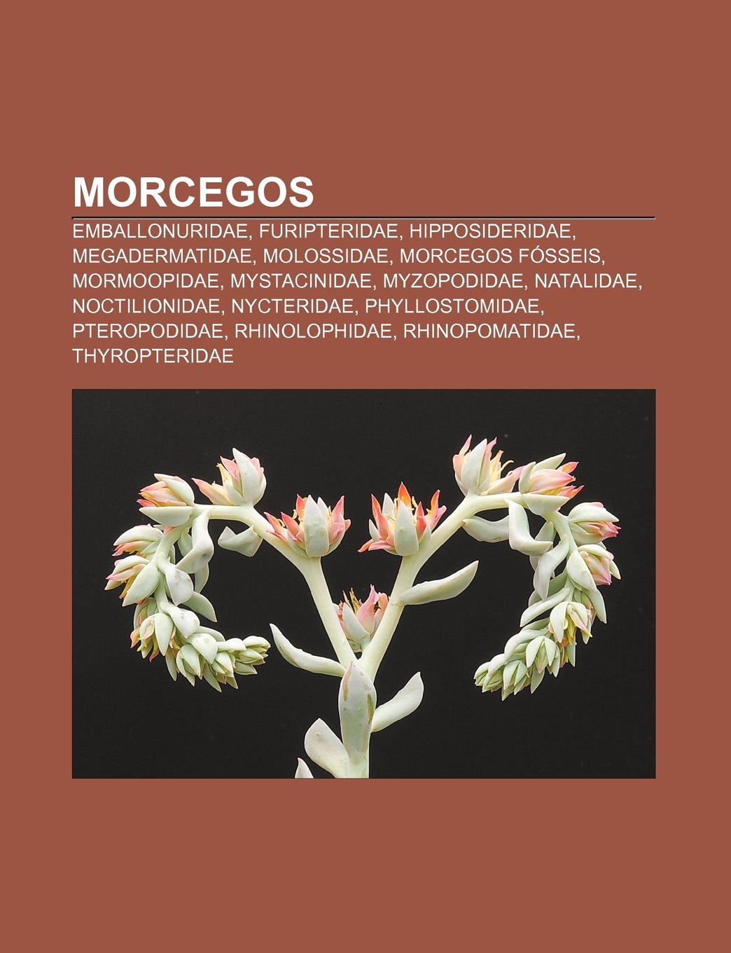 Morcegos: Emballonuridae, Furipteridae, Hipposideridae, Megadermatidae ...